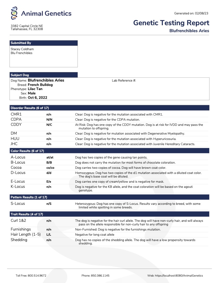 C3 Clear Lilac French Bulldog Stud - Aries - BluFrenchibles