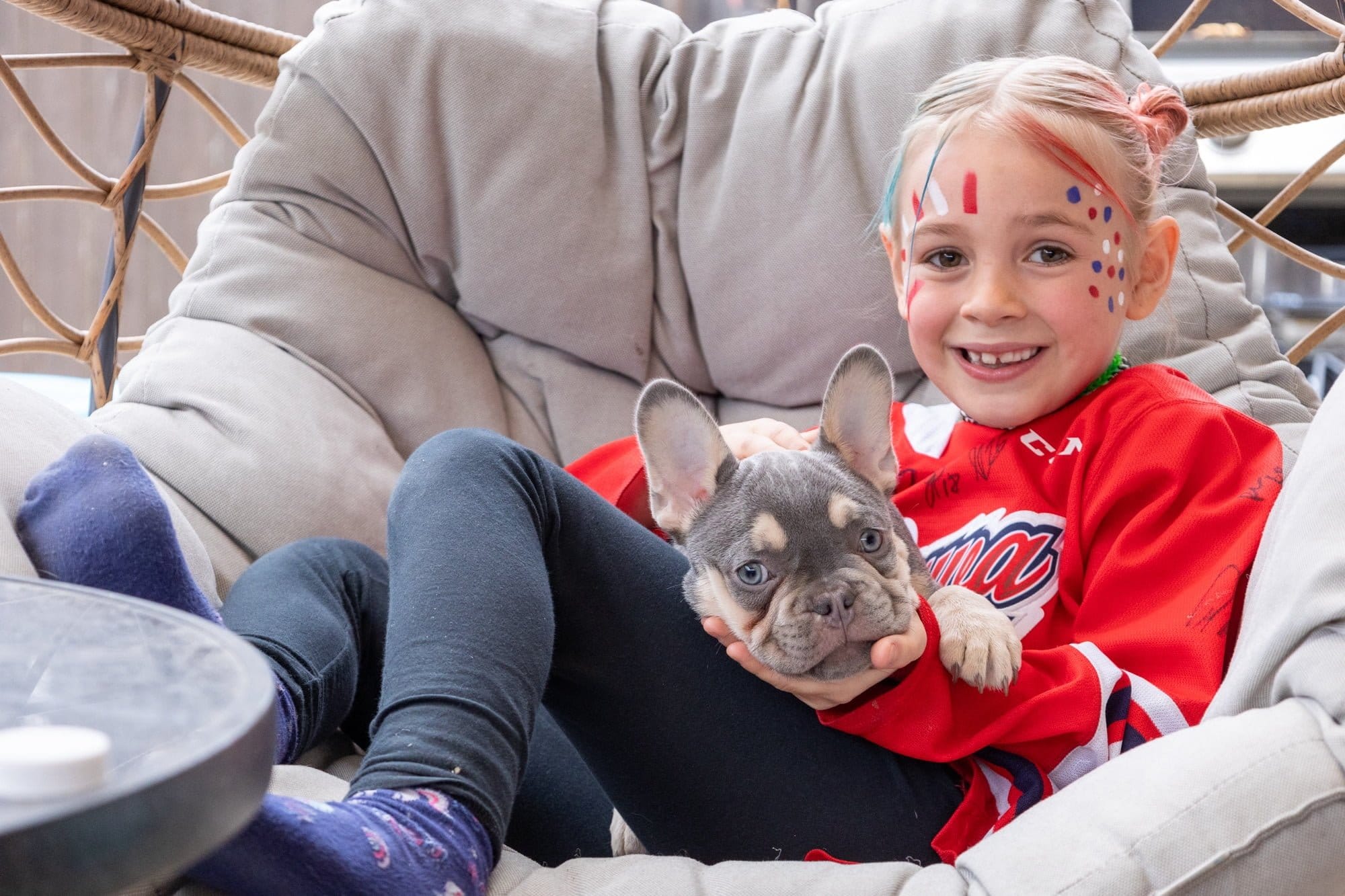 Adorable French Bulldog Puppies Arriving Soon! - BluFrenchibles